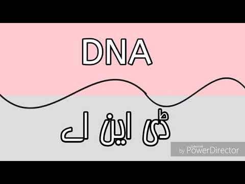 DNA | English Learning | Vocabulary | Words Meaning | Mehran Speaking Tv