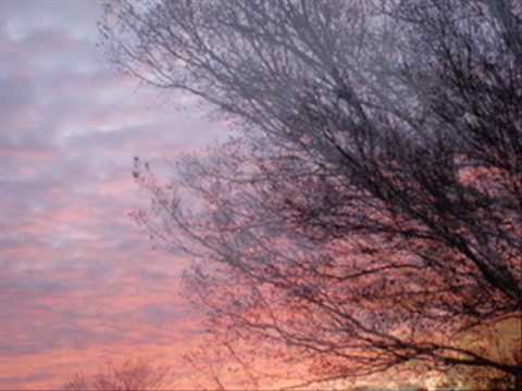 CHERISH THE DAY ~ SADE ~ LYRICS