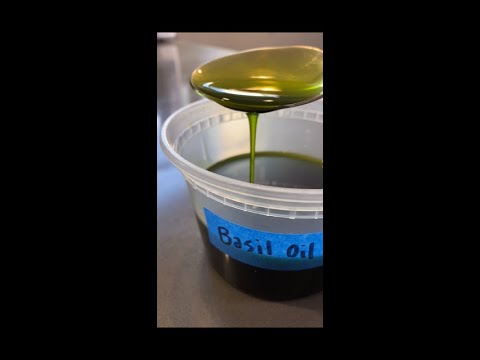 Michelin quality basil oil. Recipes on ig