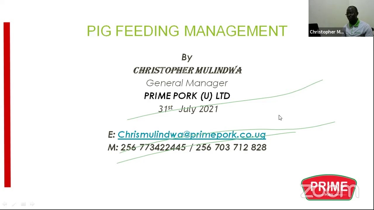 Pig Feeding Management - Continuation