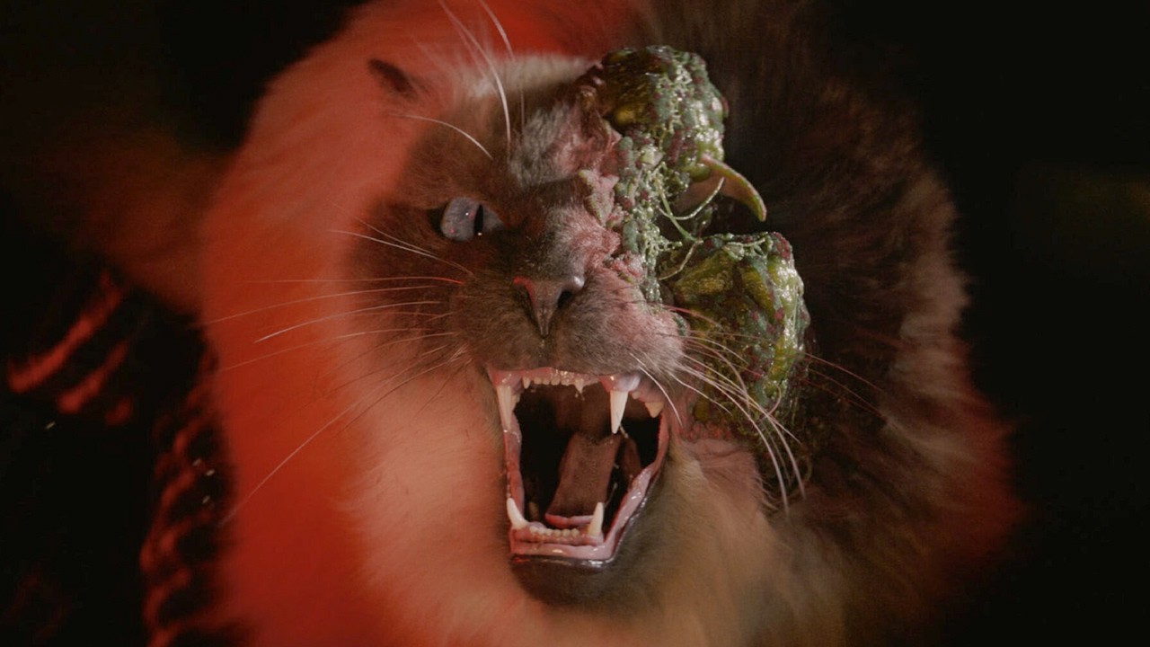 MPC - Photorealistic Animal Demo Reel 2026