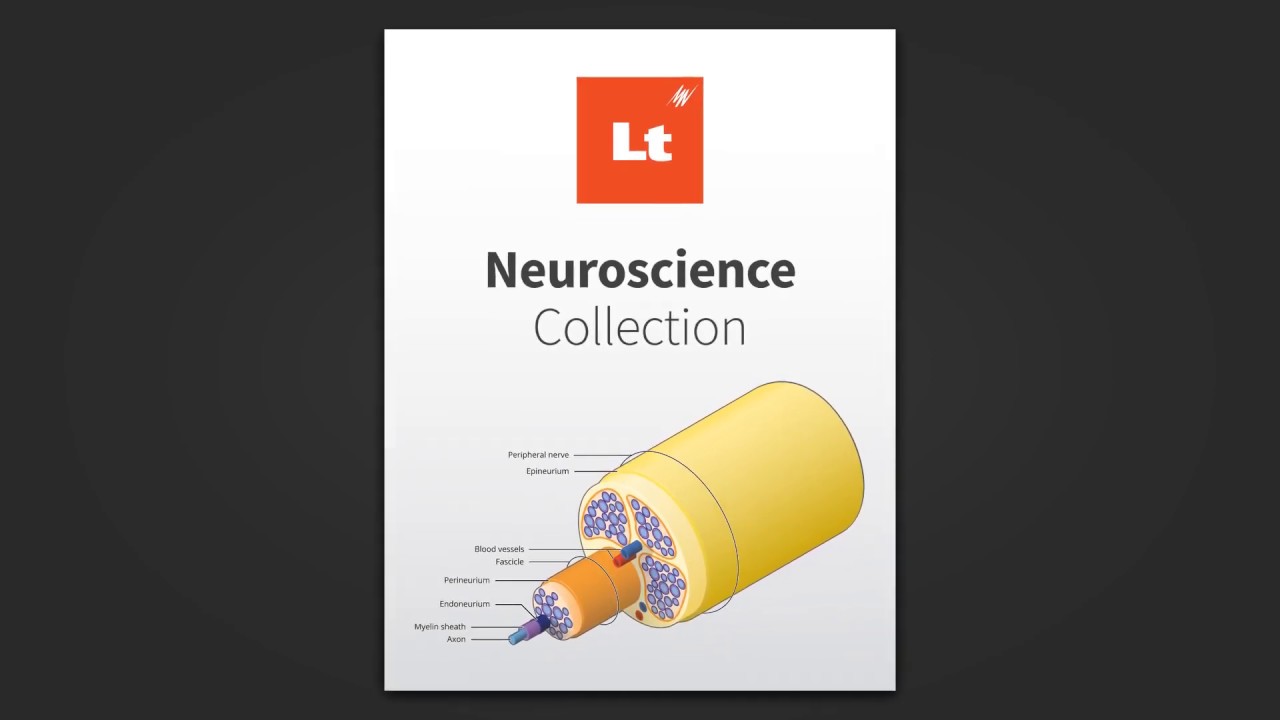 Lt - Online Learning Platform | Neuroscience Collection