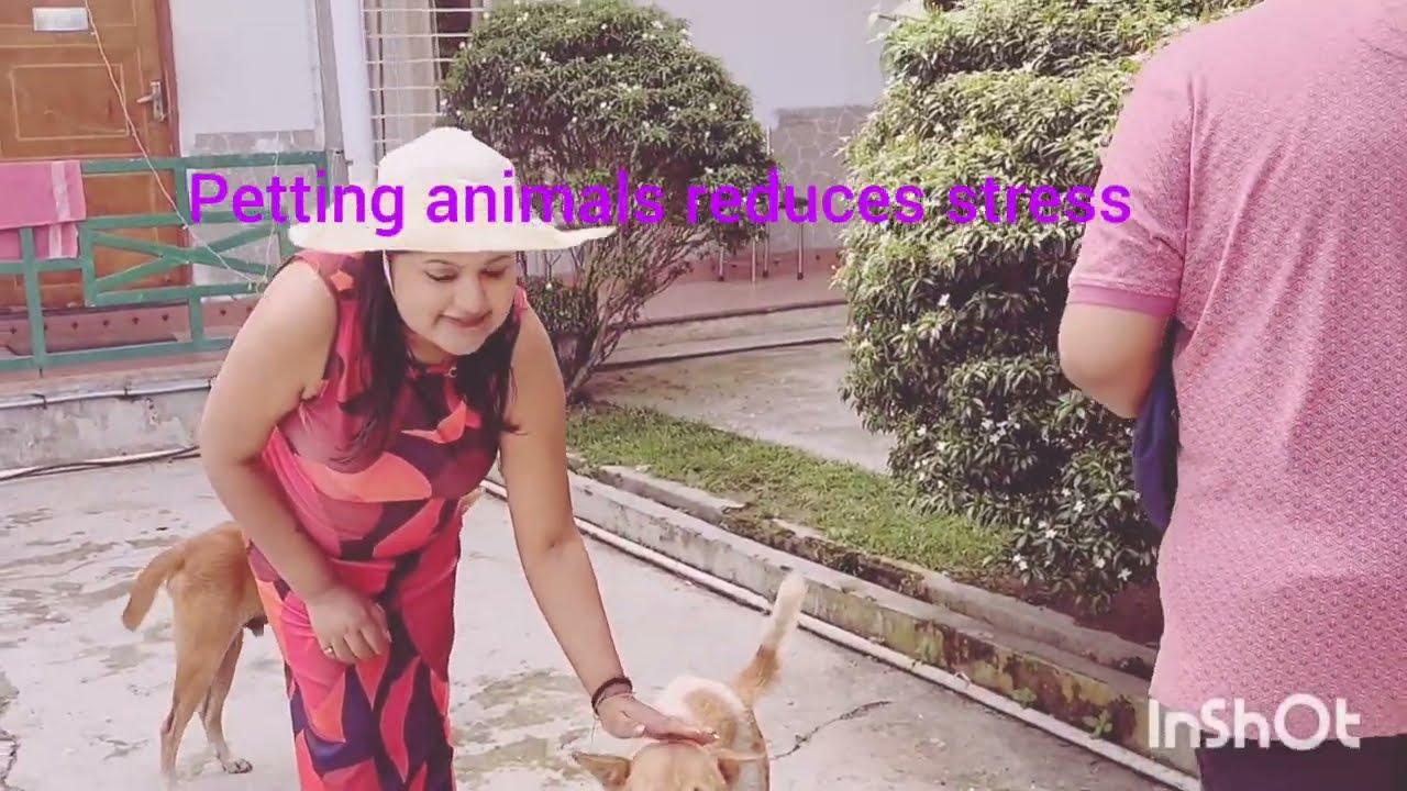 Animal therapy II Shyamolima Datta II Tranquil Transformations