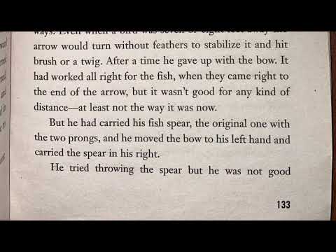 Hatchet chapter 15