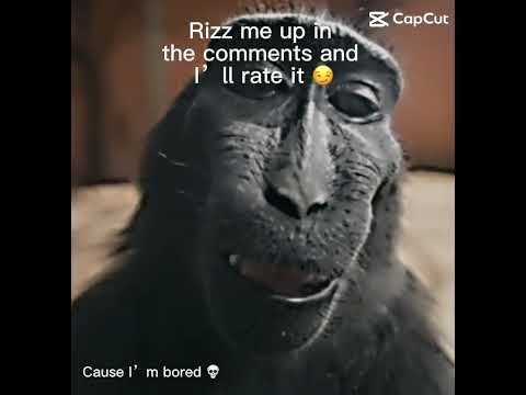 Monkey Rizz