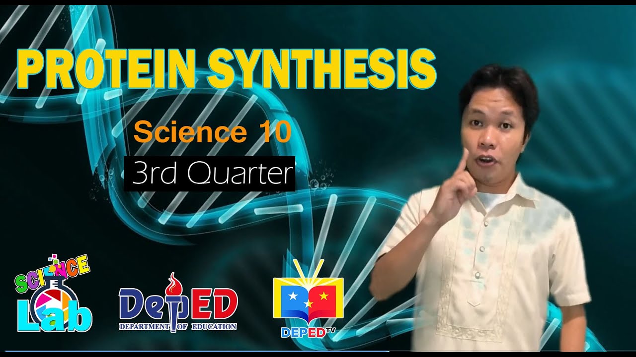 PROTEIN SYNTHESIS | Science 10 3rd Quarter Module 4