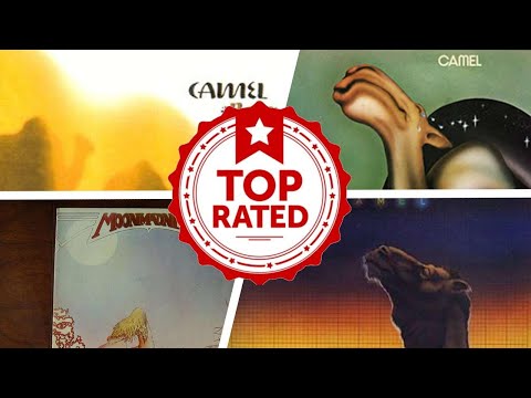 The Best Camel Albums Of All Time 💚