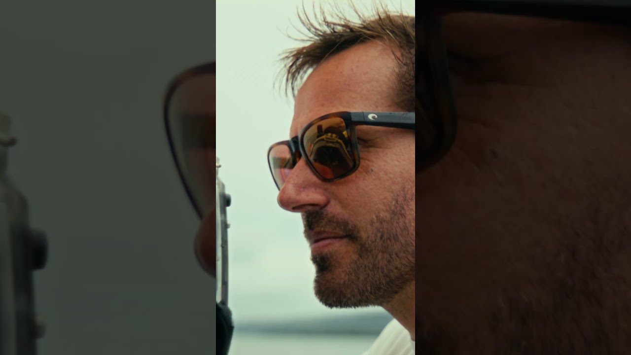 Introducing: Los Alijos