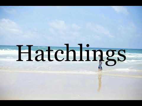 How To Pronounce Hatchlings🌈🌈🌈🌈🌈🌈Pronunciation Of Hatchlings