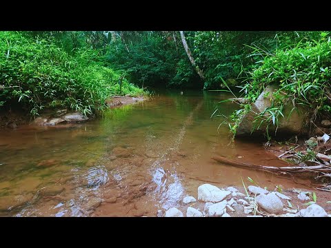 Water's Gentle Embrace Flow & ASMR River's Calmness: Sleep Aid
