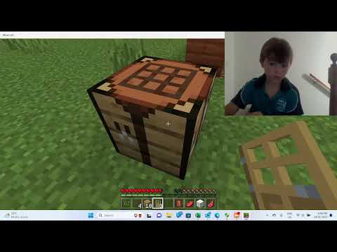 I played Minecraft on a computer