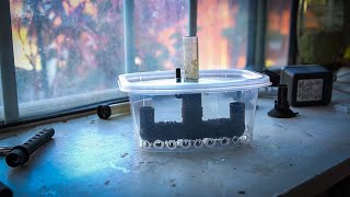 DIY AQUARIUM BOX FILTER! - The DIY Aquarium