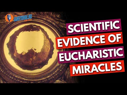 Scientific Evidence of Eucharistic Miracles | The Catholic Talk Show