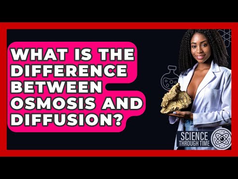 What Is The Difference Between Osmosis And Diffusion? - Science Through Time