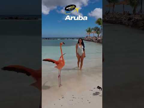 | Caribbean tourist attractions | Aruba |