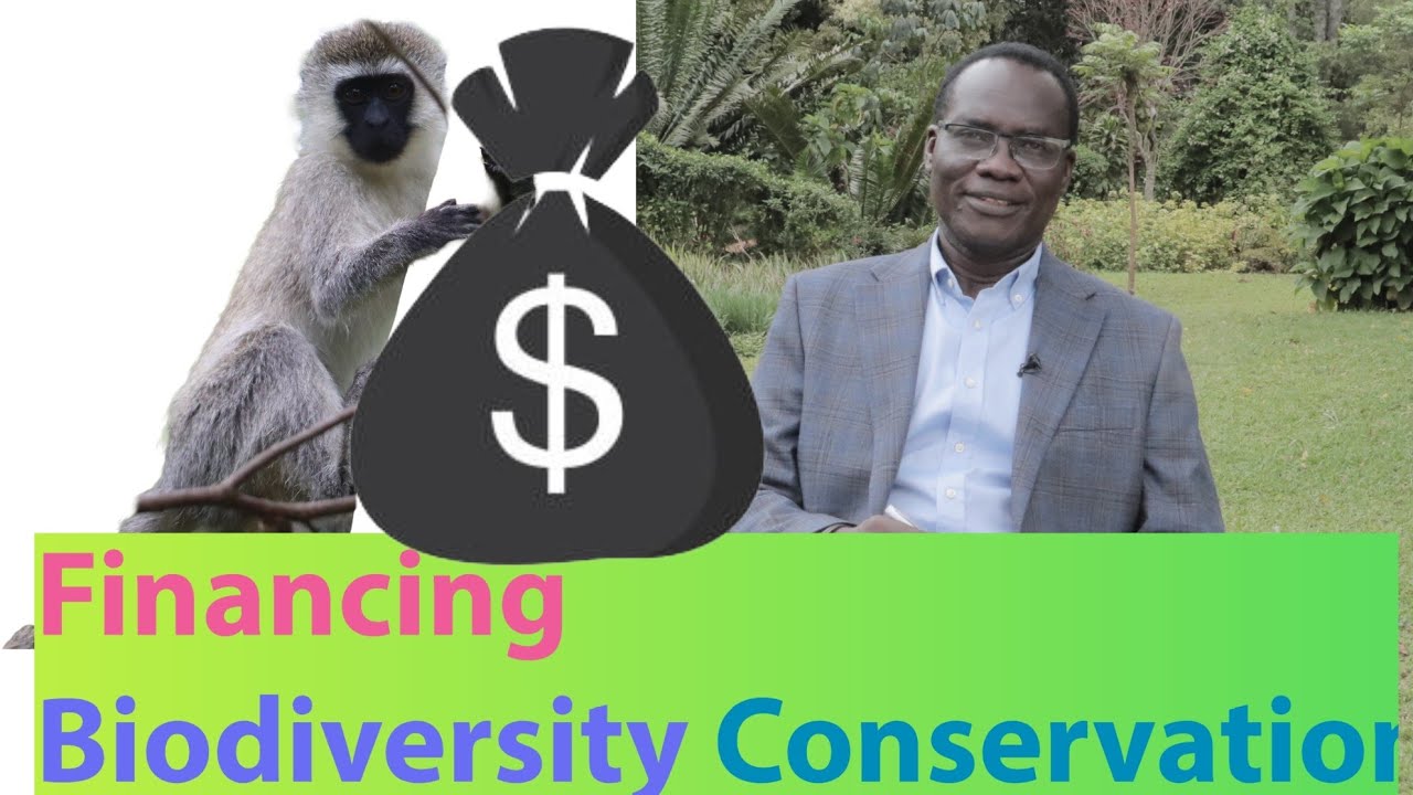 IUCN Regional Director on Africa’s Conservation Funding Crisis