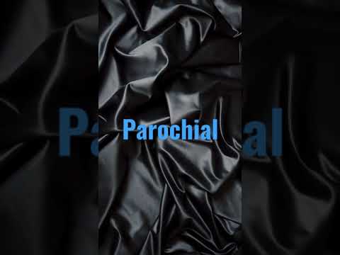 Parochial meaning #shorts