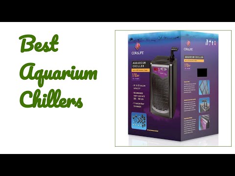 🌵5 Best Aquarium Chillers 2020