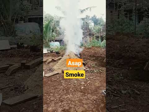 asap #dailyenglish #nature #motivationalstatus #motivationalthoughts #shortvideo #bahasainggris