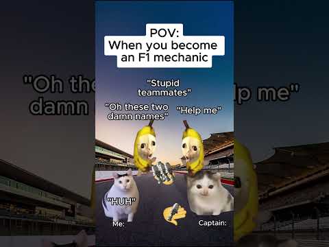 CAT MEMES π± When you become an F1 mechanic #shorts #catmemes #relatable