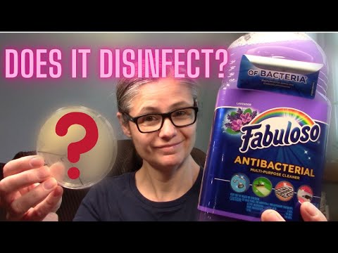 Testing Fabuloso To See If It Removes Bacteria My Home! - Viewer Request!