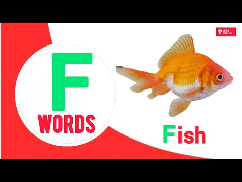 Words Starting With F - Learn Words that Start with F Sound #kids