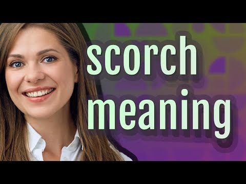 Scorch | meaning of Scorch