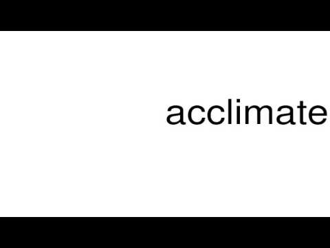 How to pronounce acclimated