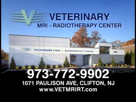 Veterinary Advanced Diagnostic Imaging