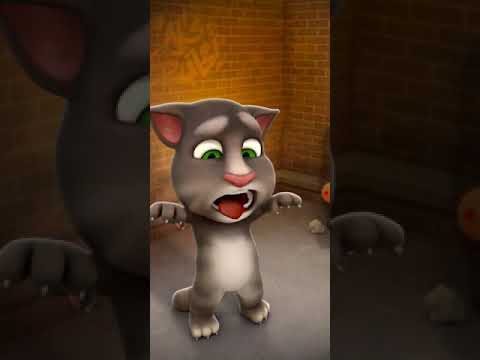 Talking Tom Cat New Video Best Funny Android GamePlay #2448