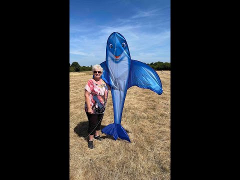 HQ 2 Metre Dolphin