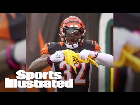 Pittsburgh Steelers: The Curse Of The Terrible Towel | Sports Illustrated