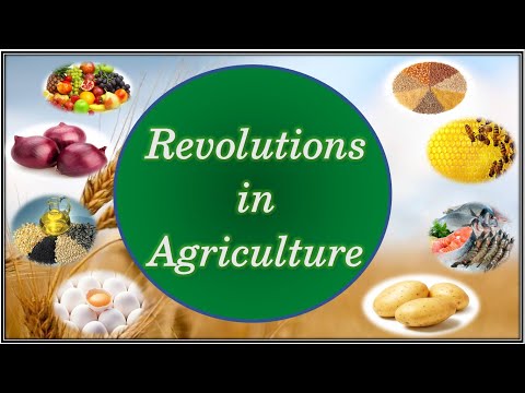 Revolutions in Agriculture | Agricultural Revolutions | Agricultural Revolution in India