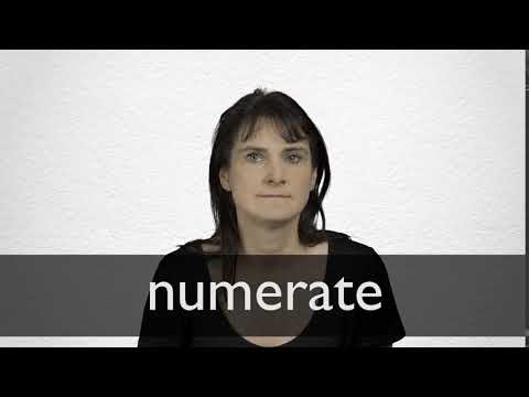 NUMERATE definition and meaning | Collins English Dictionary