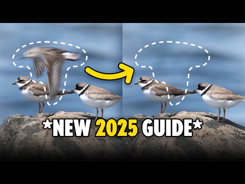 Remove ANYTHING from a Photo in Photoshop 2025!