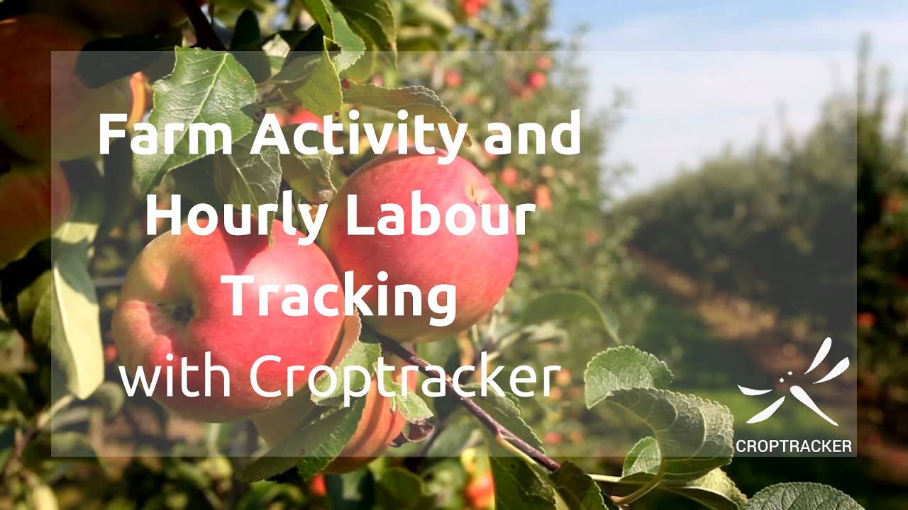 Farm Activity and Hourly Labor Tracking with Croptracker