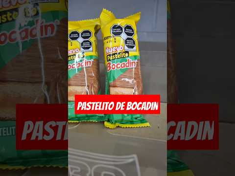 Taste Test: Disappointing Chocolate Pastry Review