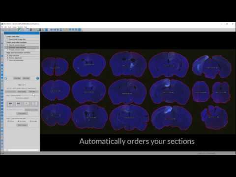 Overview of BrainMaker