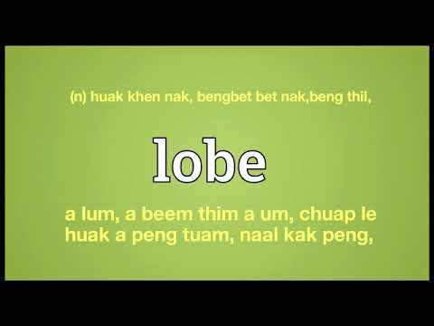 lobe meaning in English Ngawn