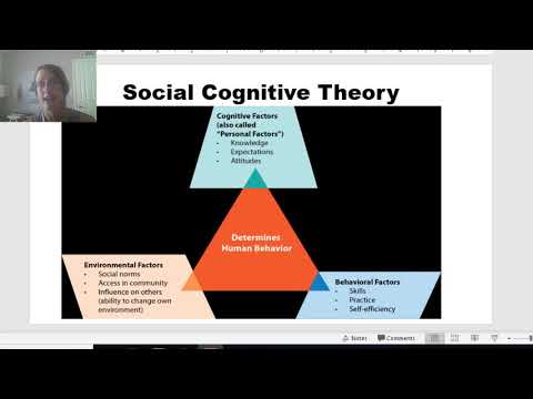 Social Cognitive Theory (synopsis and examples)