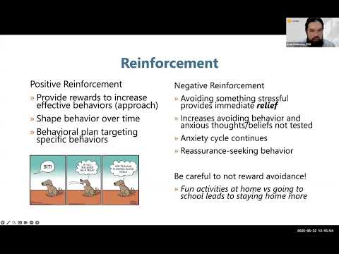 Identifying Patterns of Avoidance and Opposite Action Plans