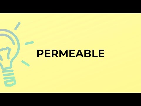 What is the meaning of the word PERMEABLE?