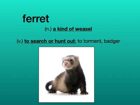 Level C Unit 10 Vocabualry