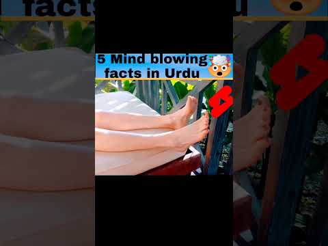 5 Mind blowing facts in Urdu#shortvideo #factsinhindi #uniquefacts #subscribe