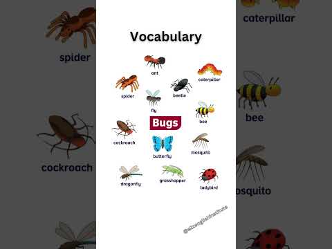 Bugs Vocabulary 🐞 | Everyday English | #dailyenglish #bugs #spokenenglish #youtubeshorts #shorts