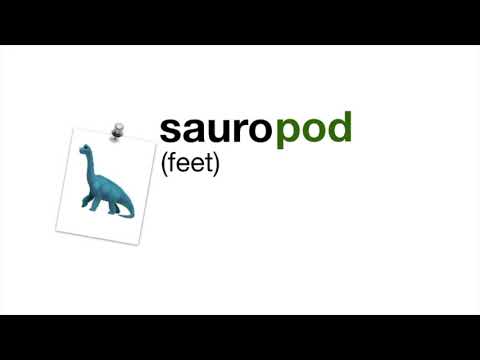 Word Roots Episode 4: 'Pod', 'Ped'