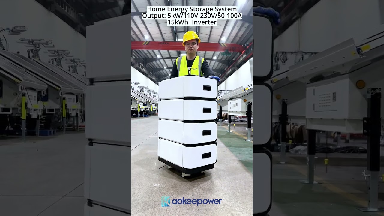 WhatsApp+86 18958496577