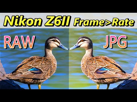 Nikon Z6 II: RAW vs JPG (VOA060AE)