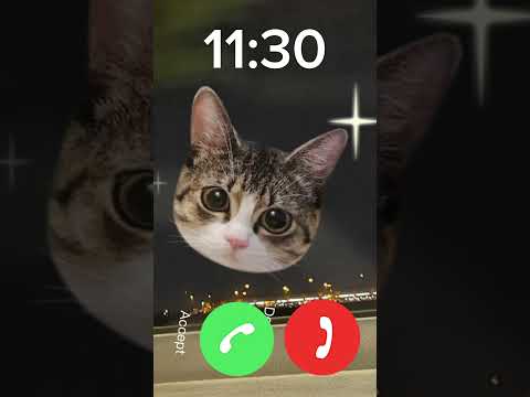 Hello Cat ,🐱 Sounds good #ringtone