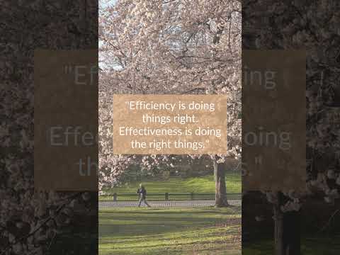 Efficiency vs. Effectiveness